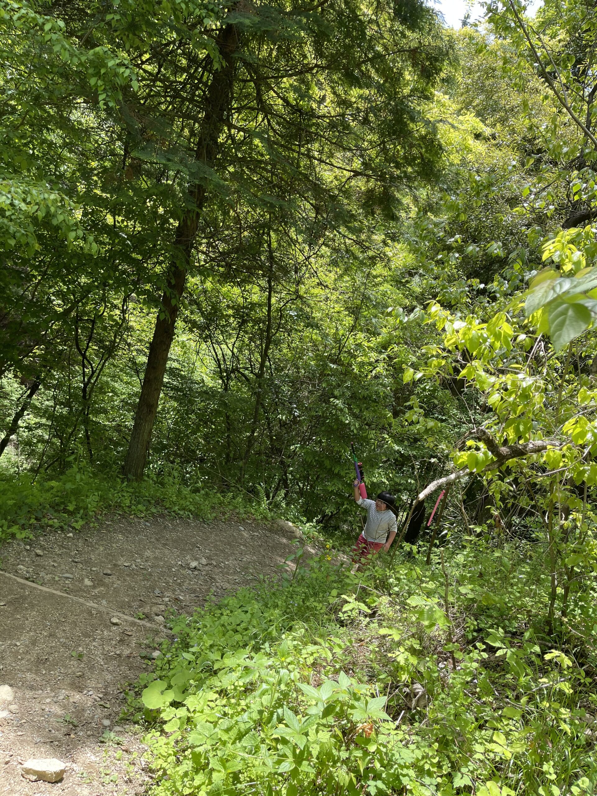 IMG_0981 | 飯田伊那谷 lifemarket